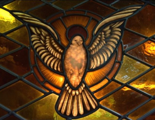 Cain Architectural Art GlassPainted Dove | Cain Architectural Art Glass